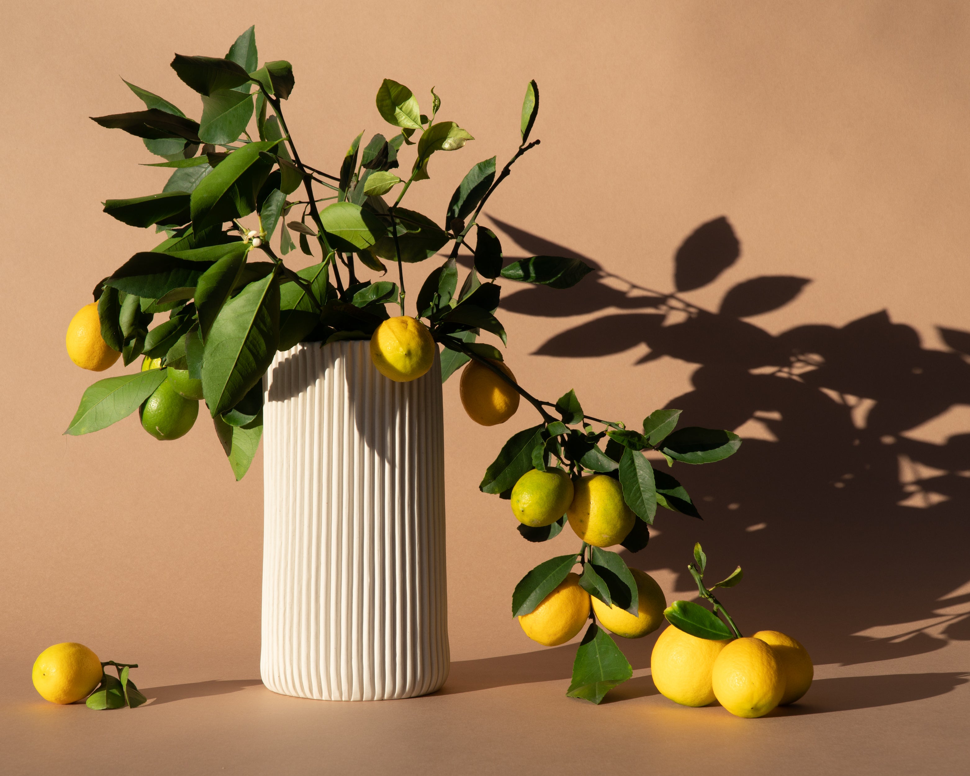 Large Ribbed Porcelain Vase – Wynne Ware